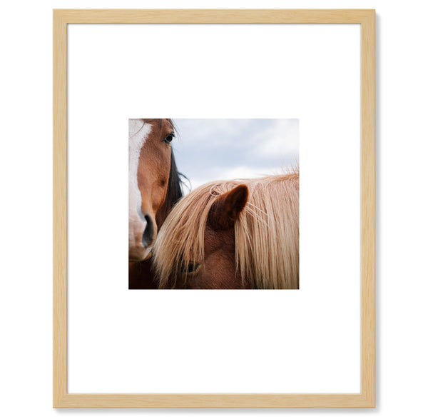 Jonathan Levitt – Horses 3 – ARCHIV-E